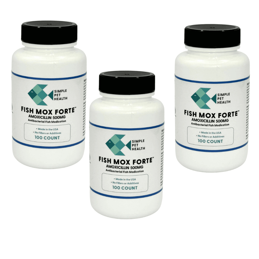 FISH MOX FORTE 500 mg Amoxicillin - FREE SHIPPING on Every order of ...