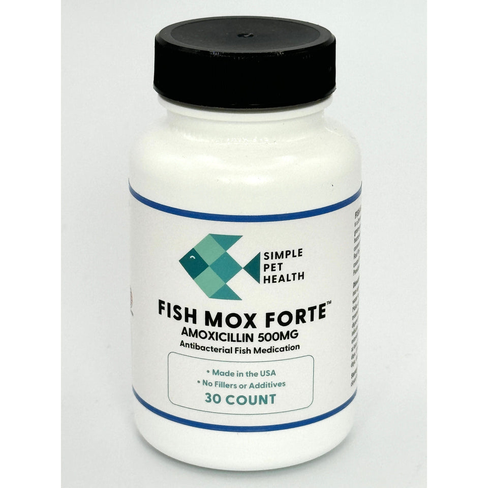 FISH MOX FORTE 500 mg Amoxicillin - FREE SHIPPING on Every order of ...