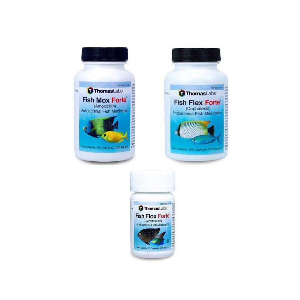 Fish Antibiotic Preparedness Package - Be Prepared For Sick Fish ...