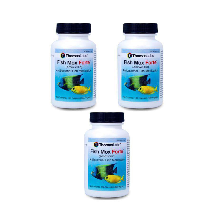 FISH MOX FORTE 500 mg Amoxicillin - FREE SHIPPING on Every order of ...