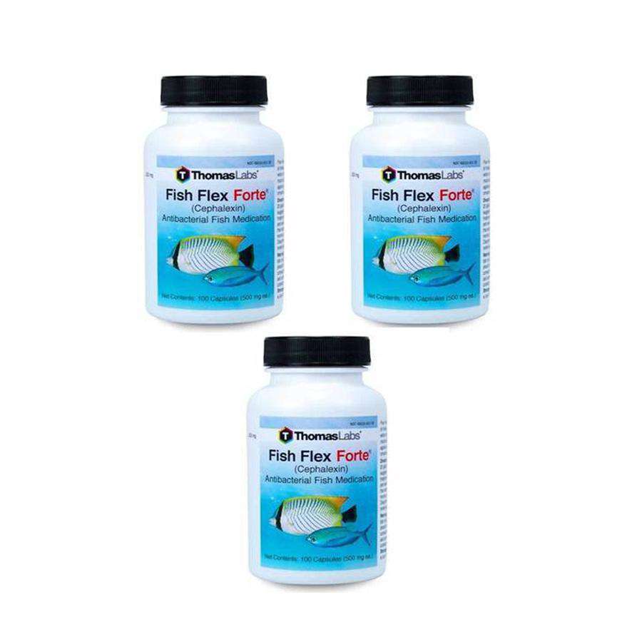 FISH FLEX FORTE 500 mg Cephalexin / Keflex - FREE SHIPPING on Every ...