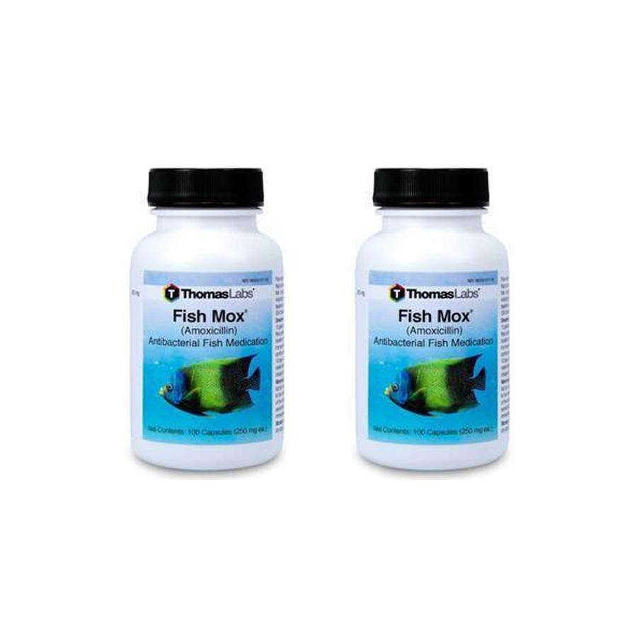 FISH MOX 250 mg Amoxicillin - FREE SHIPPING on Every Order of Fish Mox ...