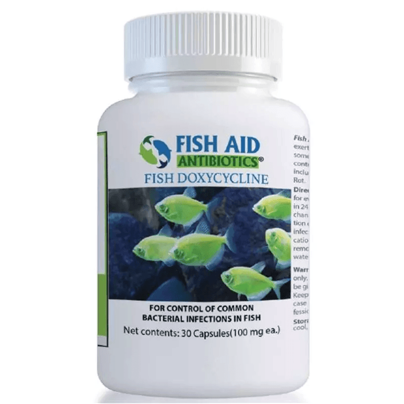 FISH CILLIN 250 mg Ampicillin - FREE SHIPPING on Every Order of Fish ...