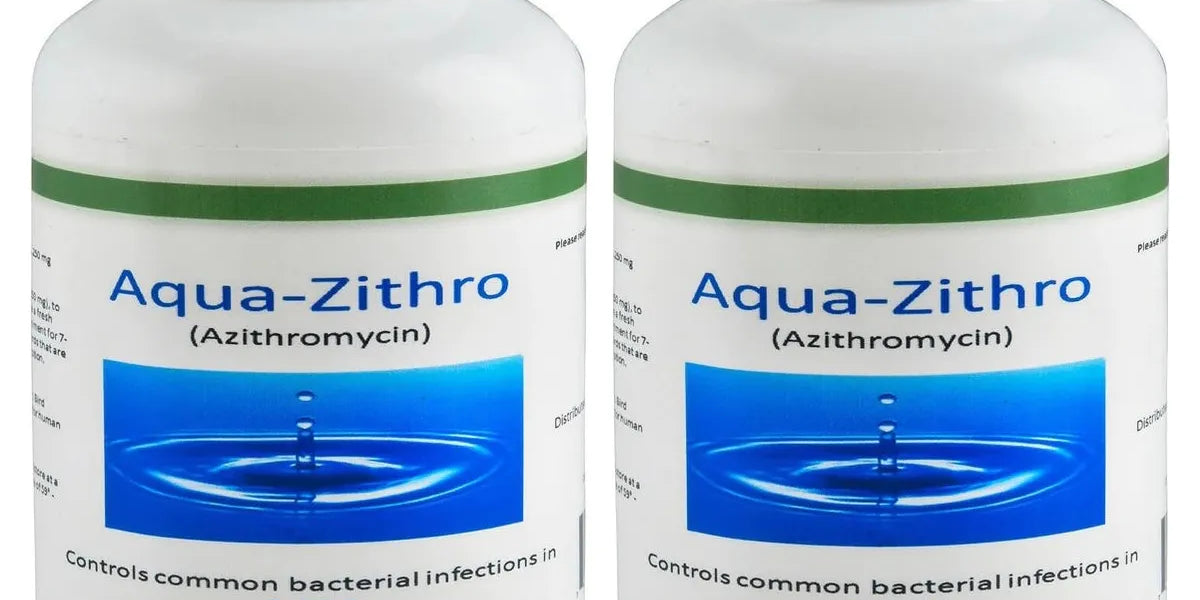Bird Zithro 250 mg Aziromycin - FREE SHIPPING on Every order of Bird ...