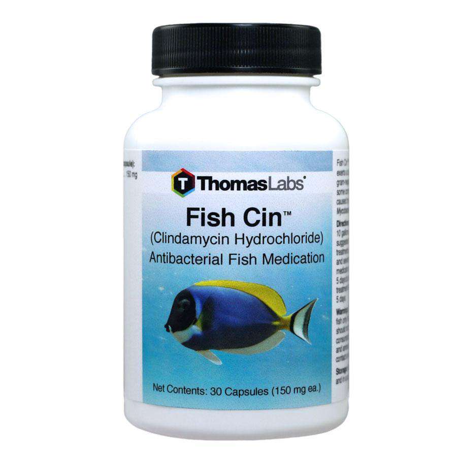FISH CIN Clindamycin 150 mg - FREE SHIPPING on Every Order of Fish Cin ...