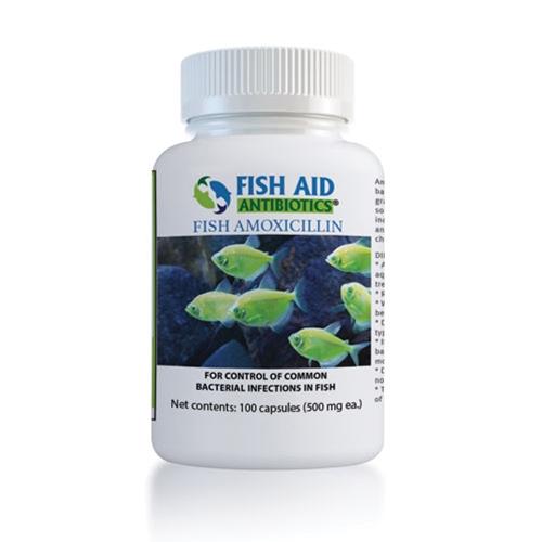 (Fish Mox Forte Equivalent) Fish Amoxicillin Plus - 500 mg - 100 Count ...
